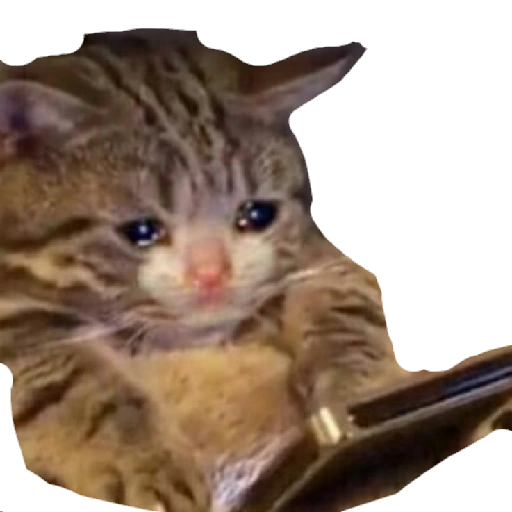 Sticker Maker - Crying Cats 1