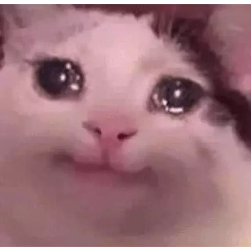 Sticker Maker - Crying Cats 1