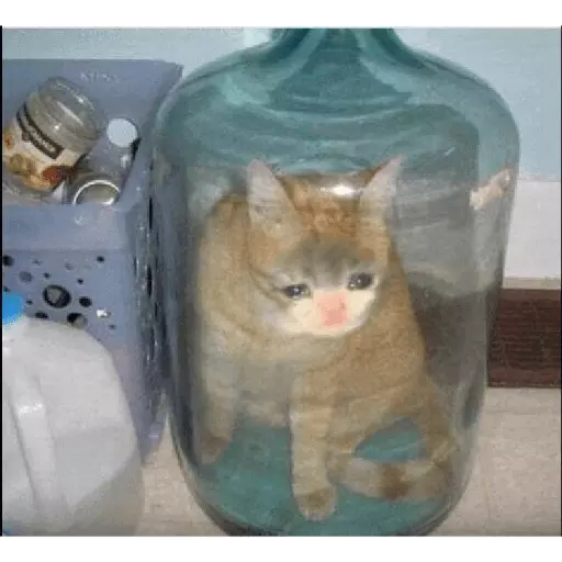 Sticker Maker - Crying Cats 1