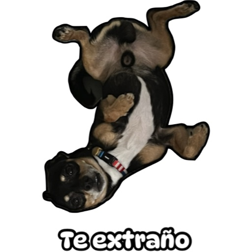 Sticker Maker - Cuco el chihuahua