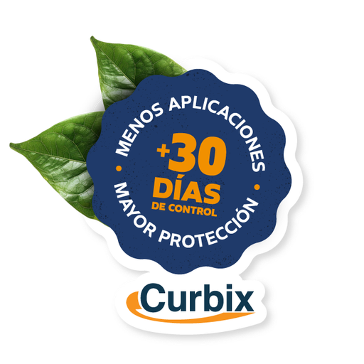 Sticker Maker - Curbix