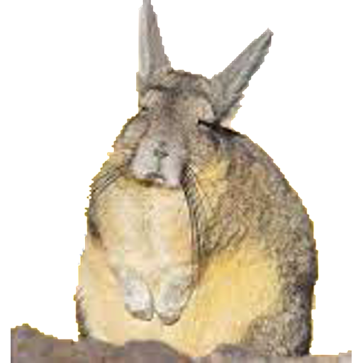 Sticker Maker - Cursed