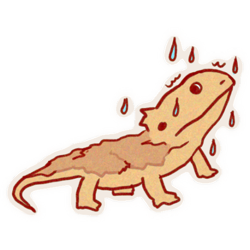 Sticker Maker - Cute Bearded Dragons