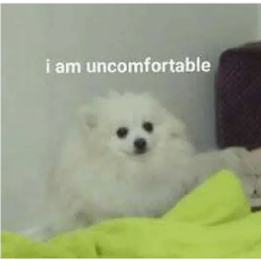 Sticker Maker - Scared/Cute