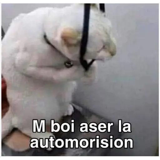 Sticker Maker - Danny