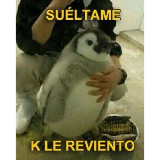 Sticker Maker - Danny17