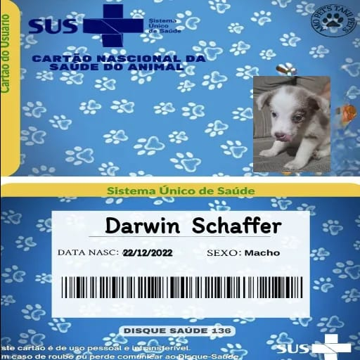Sticker Maker - Darwin
