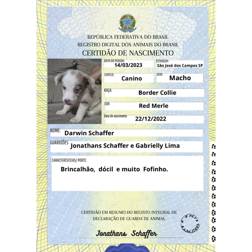 Sticker Maker - Darwin