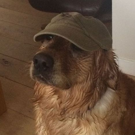 Sticker Maker - DaWG