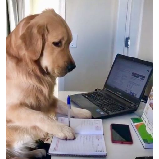 Sticker Maker - DaWG