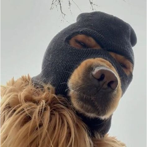 Sticker Maker - DaWG