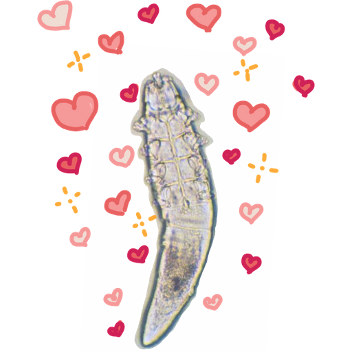 Sticker Maker - Dermatostuff