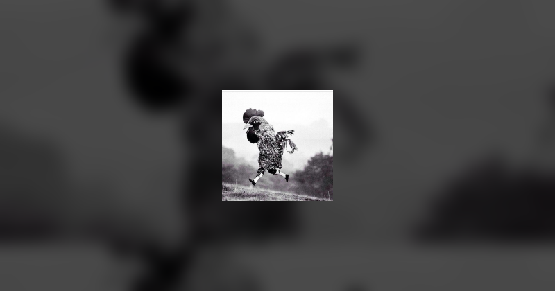 Sticker Maker - desperate running feathered