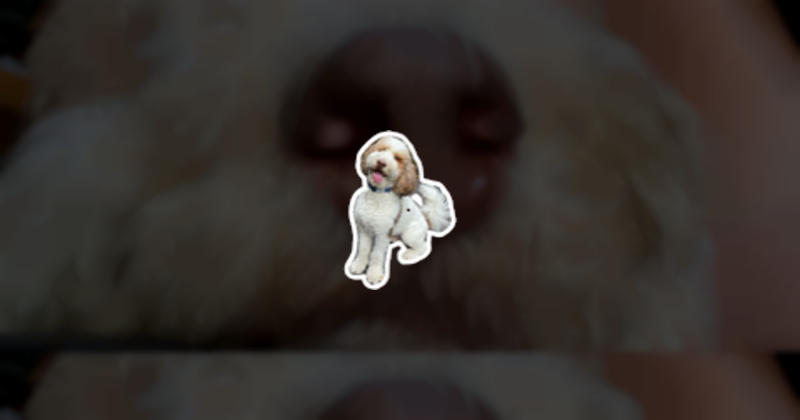 Sticker Maker - Dexter