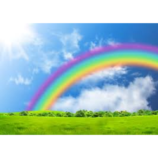 Sticker Maker - dfdf