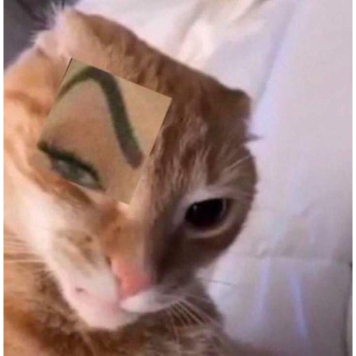 Sticker Maker - dog-cat-memes
