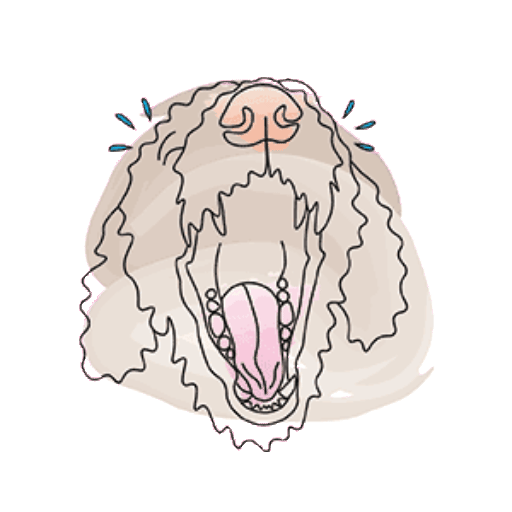 Sticker Maker - Dog Emotions