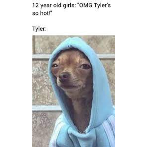 Sticker Maker - DOG MEMES