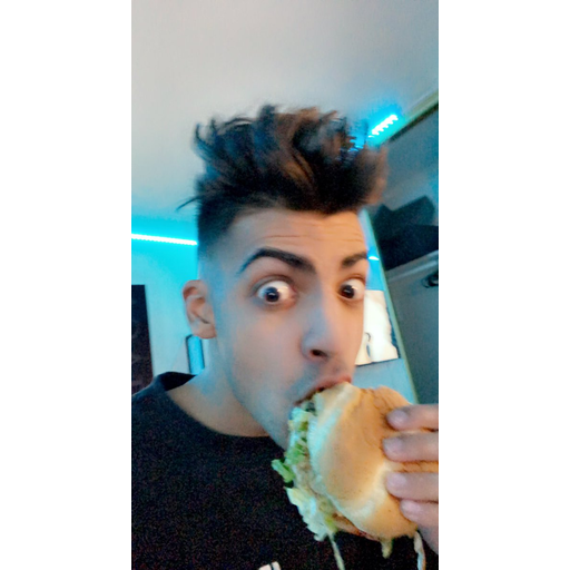 Sticker Maker - dsmp poggers