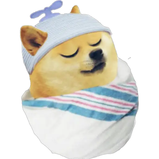 Sticker Maker - El cheems