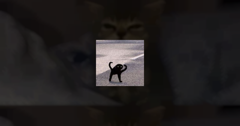 Sticker Maker - el gato xd