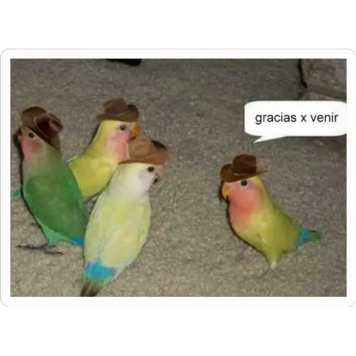 Sticker Maker - El que tengo aquí colgado