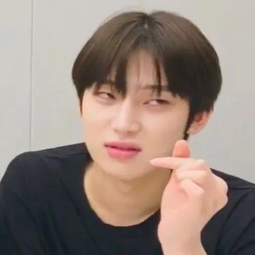 Sticker Maker - Enhypen and SKZ