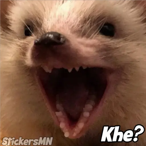 Sticker Maker - Erizo