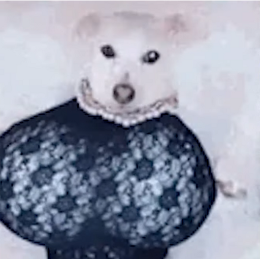 Sticker Maker - fasdfasdf