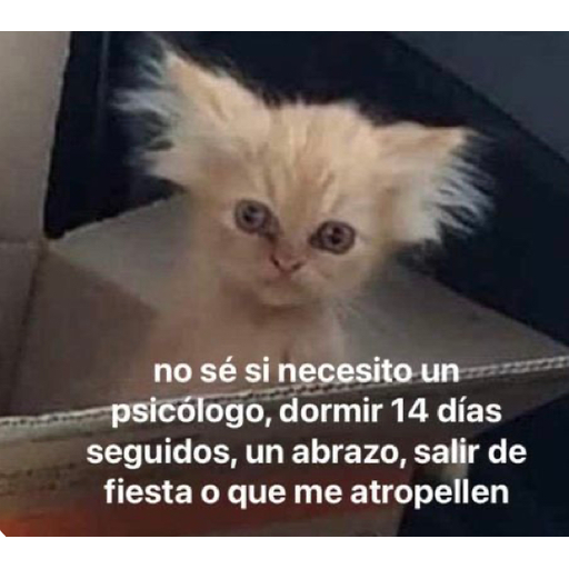 Sticker Maker - Felinos
