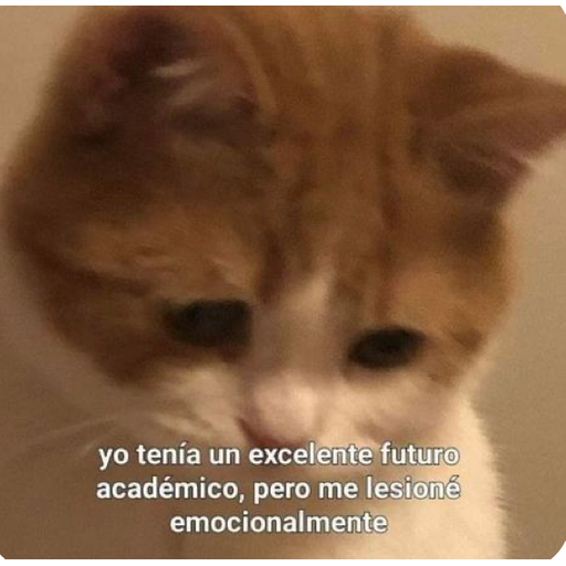 Sticker Maker - Felinos