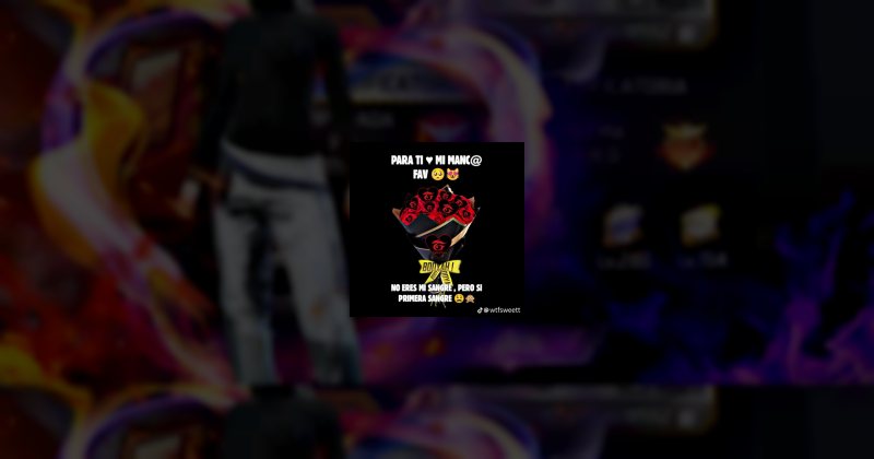 Sticker Maker - FF Flaca