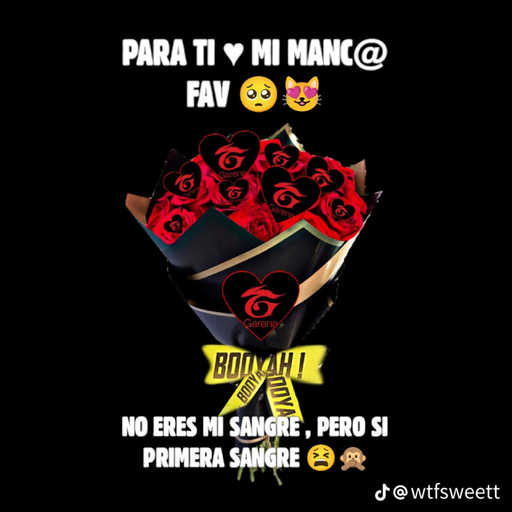 Sticker Maker - FF Flaca