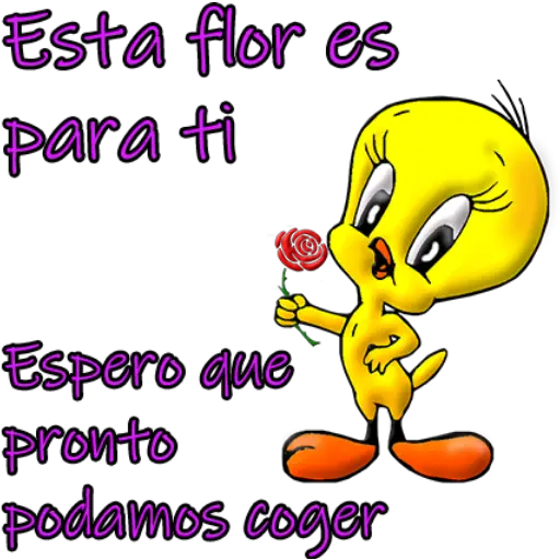 Sticker Maker - PIOLÍN GROSERO