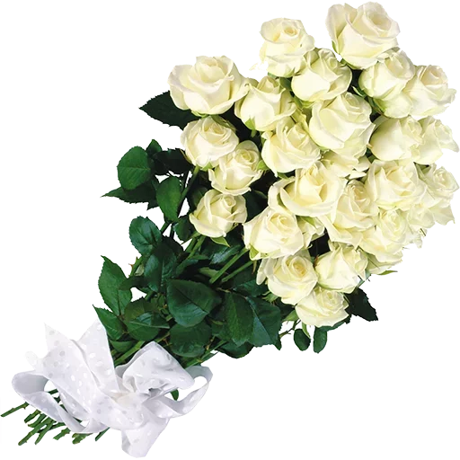 Sticker Maker - Flowers 3