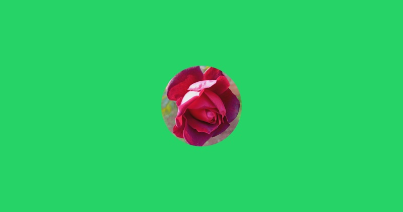 Sticker Maker - Flowers and Plants