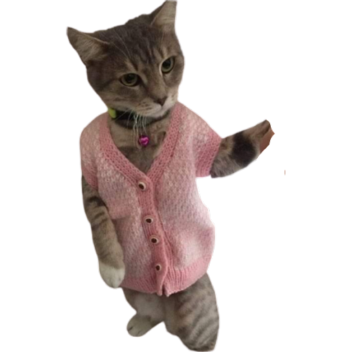 Sticker Maker - Funny Animals