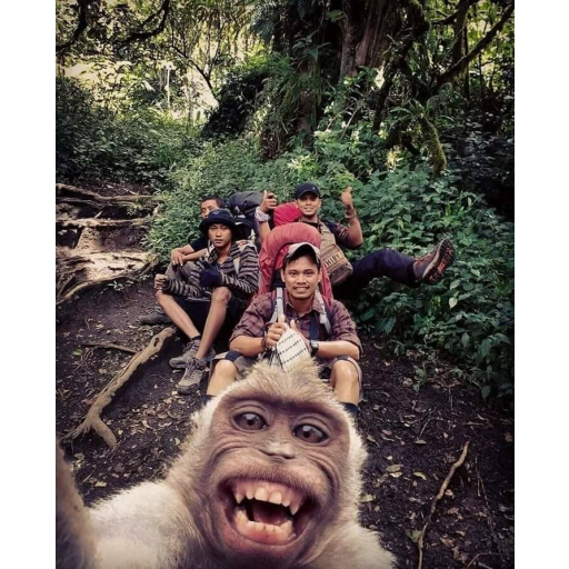 Sticker Maker - funny selfies