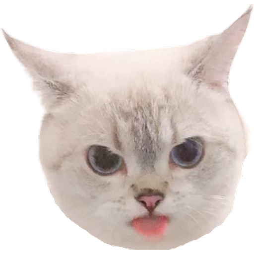 Sticker Maker - Gatin Branco