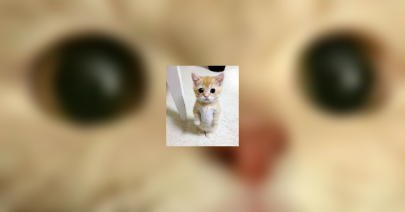 Sticker Maker - Gatito (Parte 2)