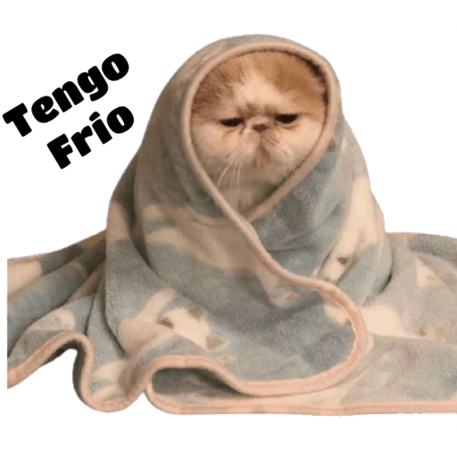 Sticker Maker - Gatitos