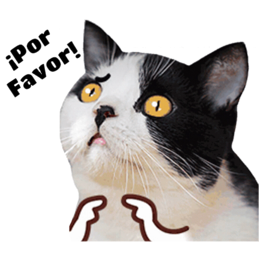 Sticker Maker - Gatitos