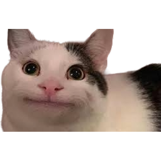 Sticker Maker - Gatitos