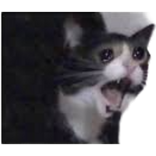 Sticker Maker - Gatitos