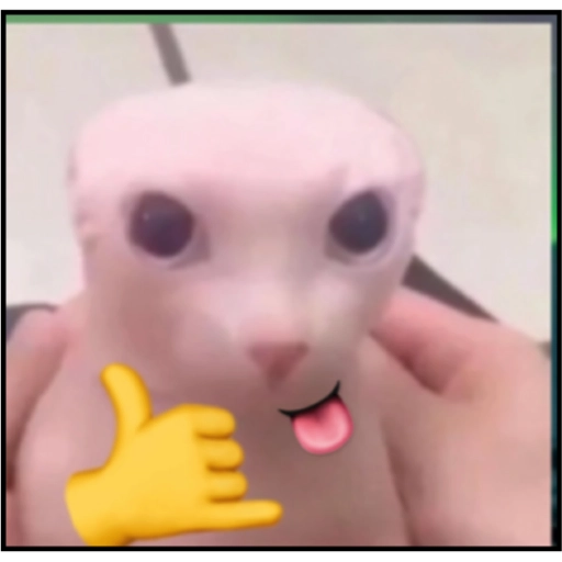 Sticker Maker - Gatitos