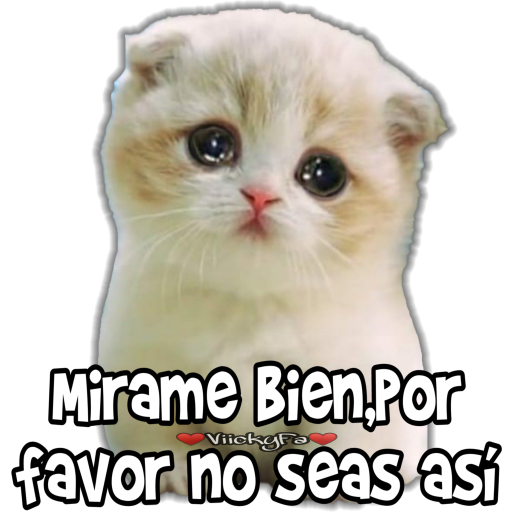 Sticker Maker - ♡ Gatitos Tiernitos