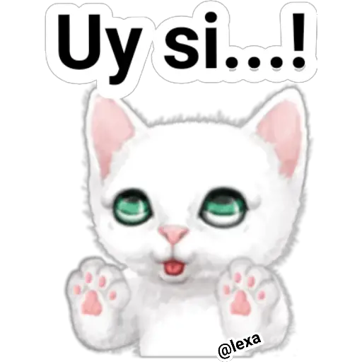Sticker Maker - Gato Blanco??