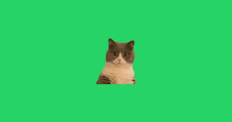 Sticker Maker - Gato :0