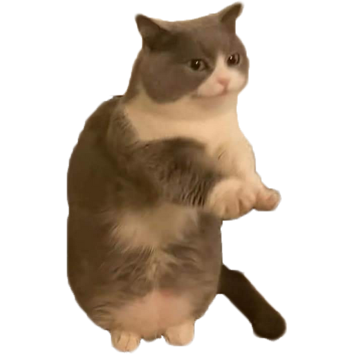 Sticker Maker - Gato :0