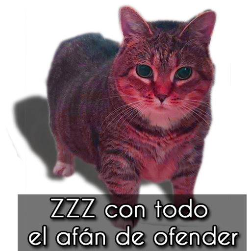 Sticker Maker - Gato :0